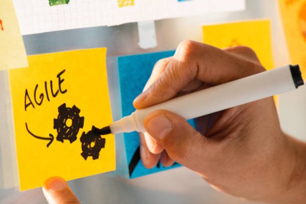 Agile Methodology: Why should your business choose it?